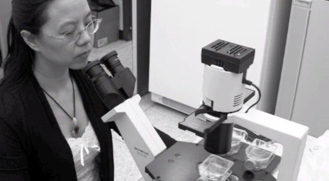 CSU Professor Bibo Li, Ph.D.: Faculty Favorite, Intrepid Investigator, Grant Guru | Cleveland ...